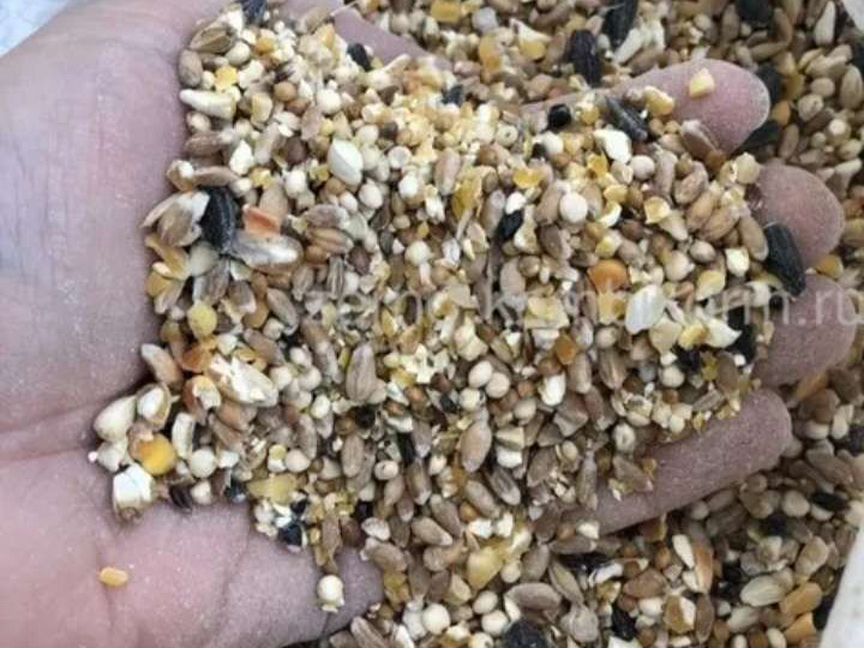 Кормосмесь