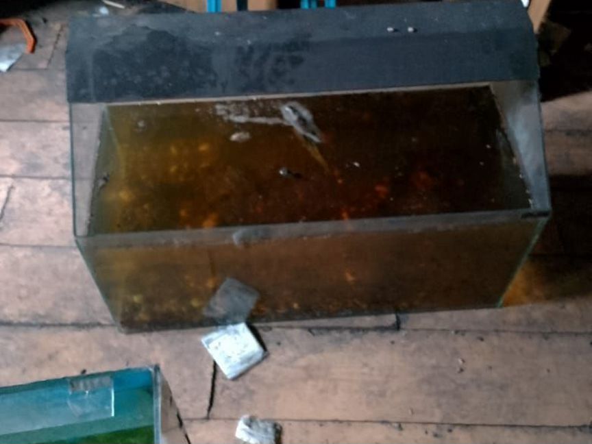 Террариум (аквариум)