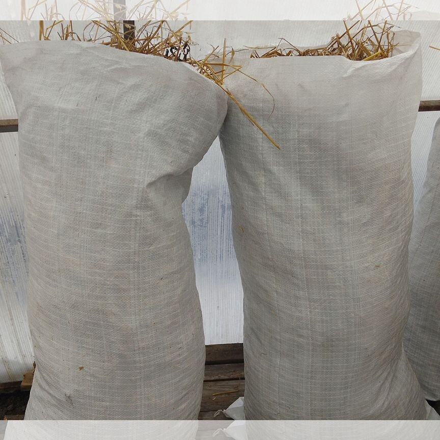 Солома в мешках