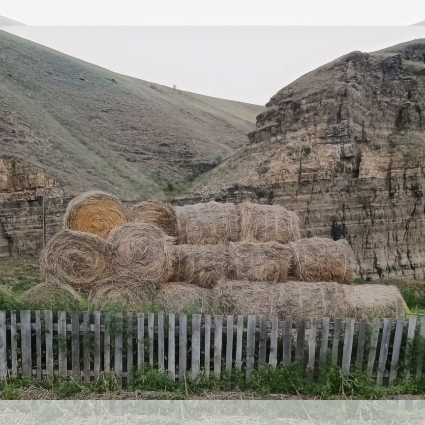 Сено в рулонах