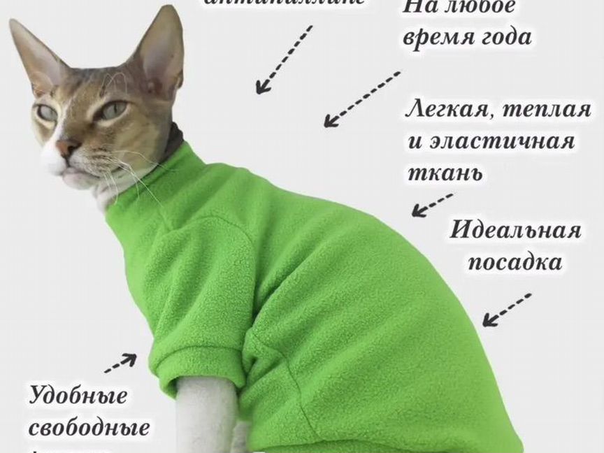 Одежда для котов и кошек