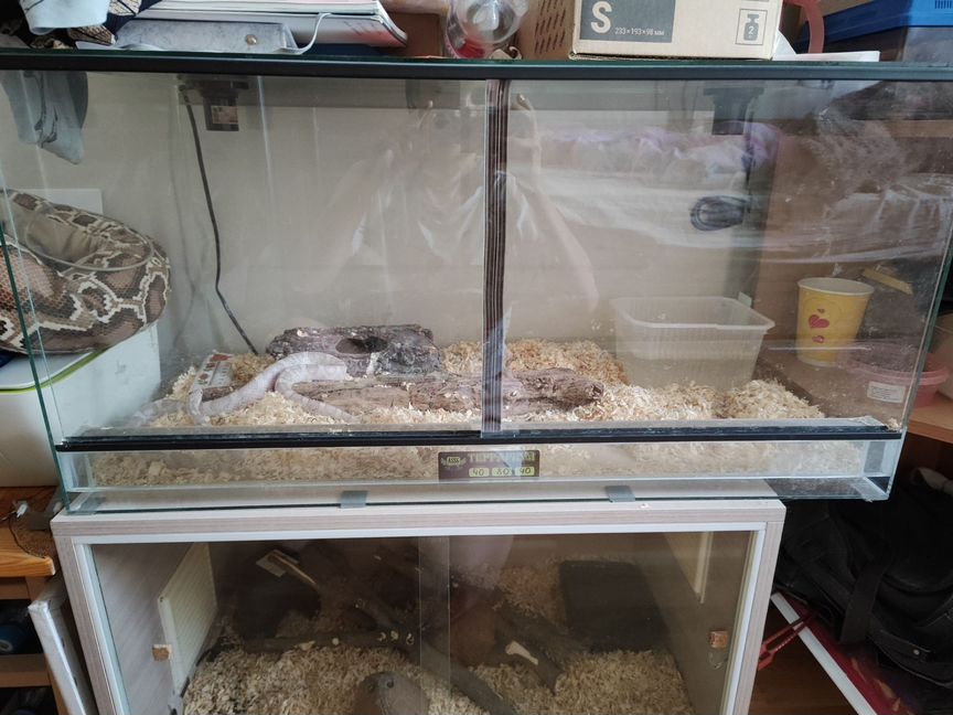 Террариумы