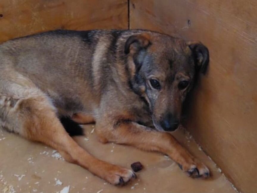 В жизни Рихарда нет любви и заботы