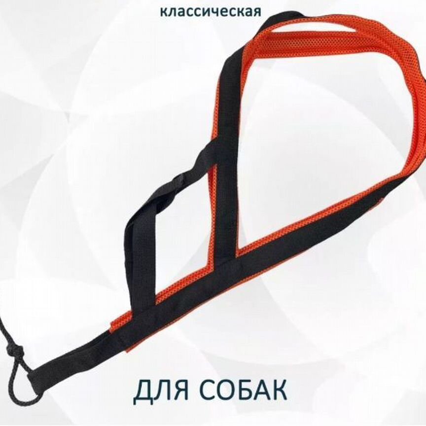 Ездовая шлейка