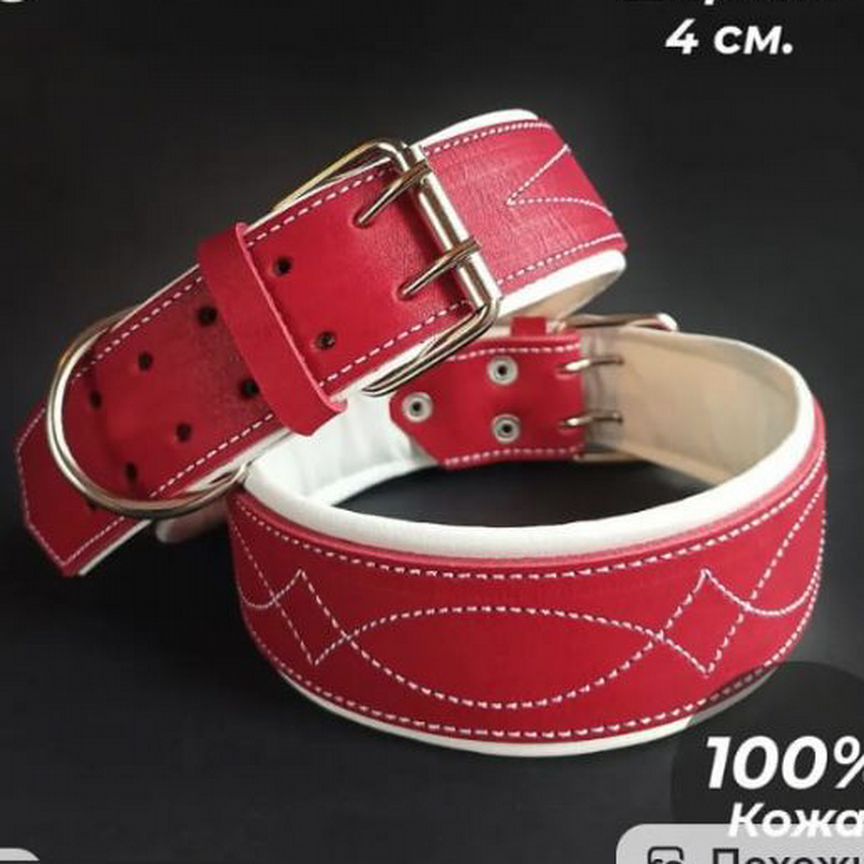 Ошейник для большой собаки