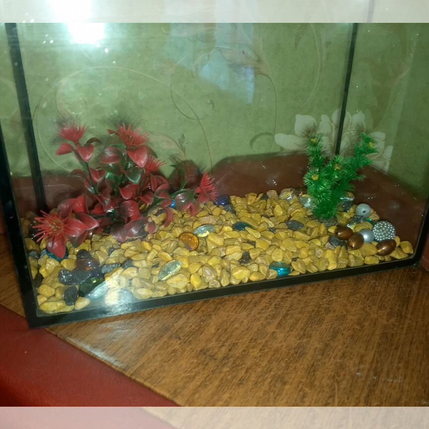 Аквариум для рыбок бу
