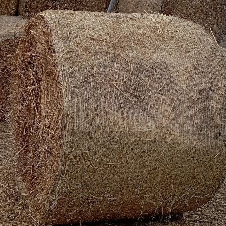 Солома в рулонах