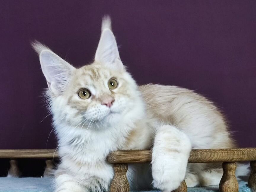 Истинный гигант Самурай