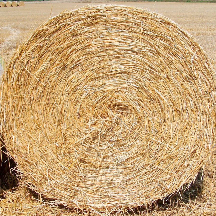 Солома в рулонах