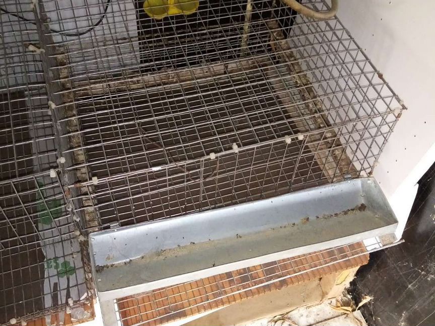 Клетки для перепелов 2 штуки