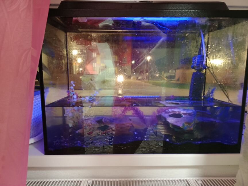 Аквариум готовый