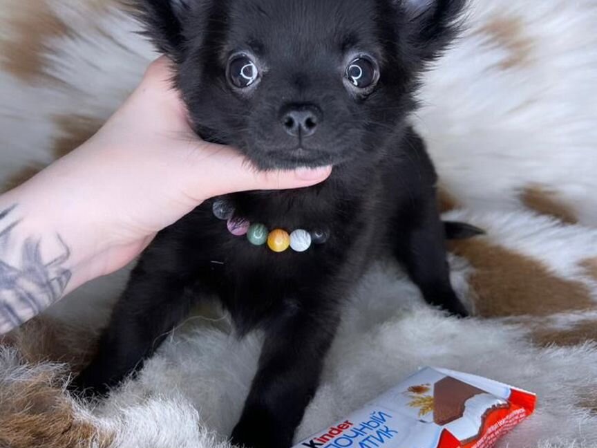 Кукольный Мини Мальчишка