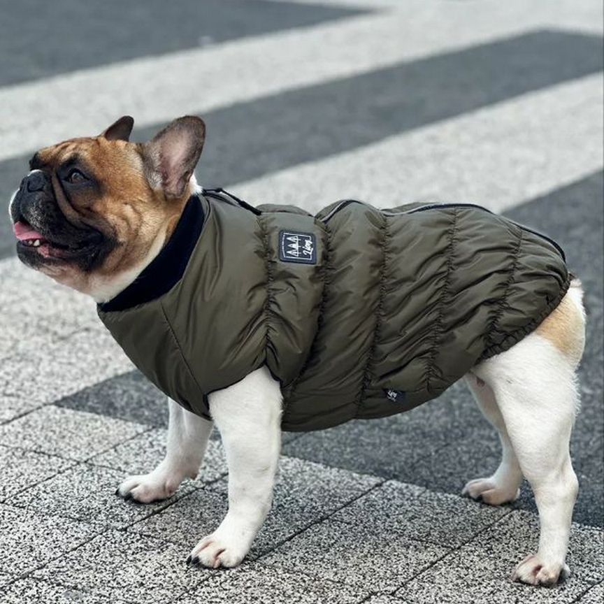 Утеплённая жилетка для собак мелких пород