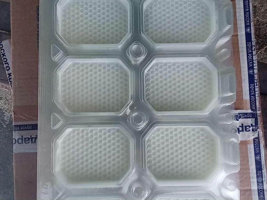 Панский сот
