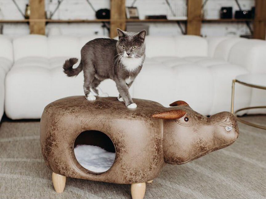 Новый домик-пуфик для кошки Буйвол