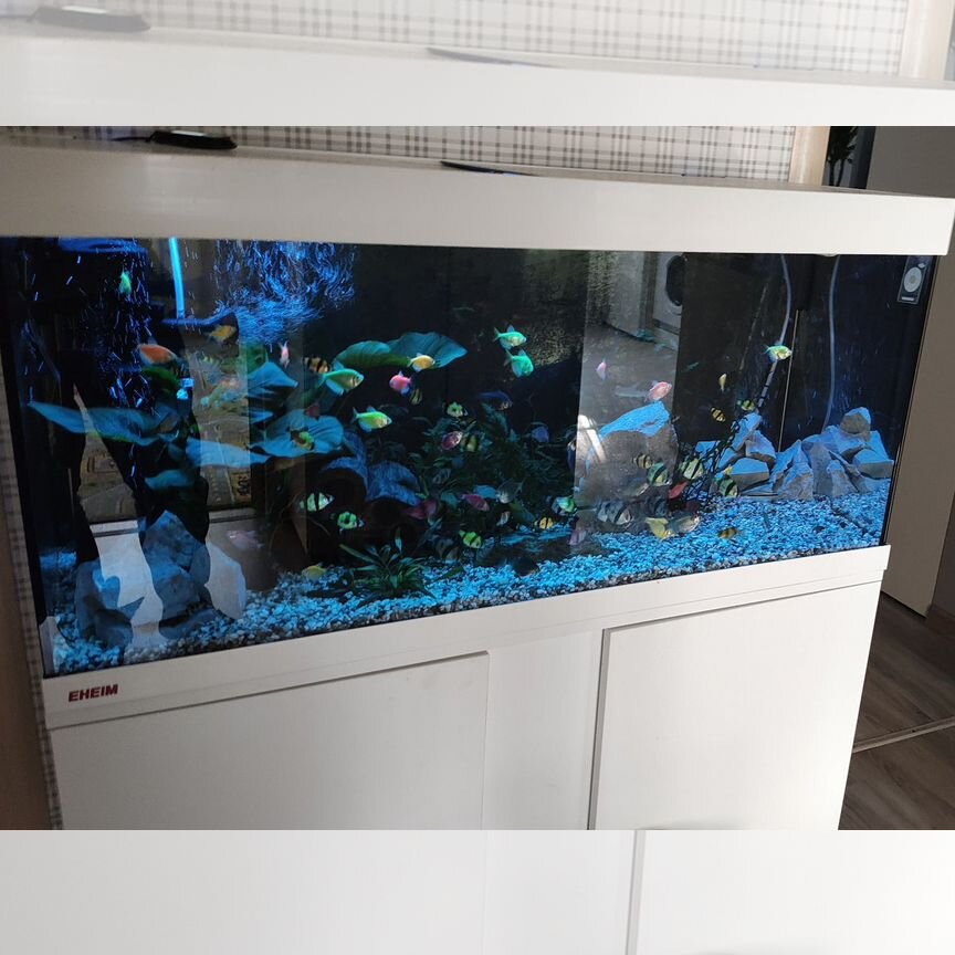 Аквариум eheim vivaline 180 LED