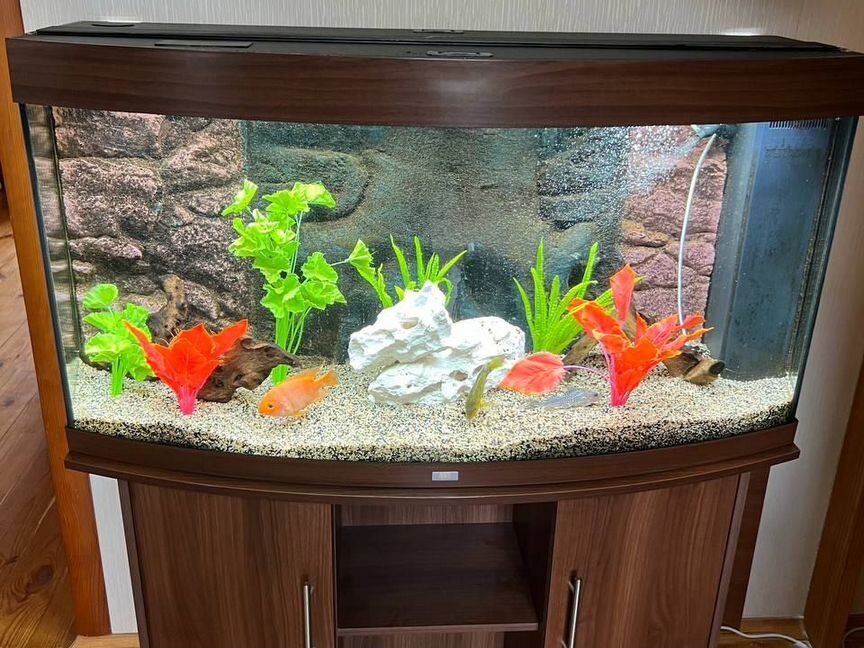 Аквариум Juwel Vision 260 литров с тумбой