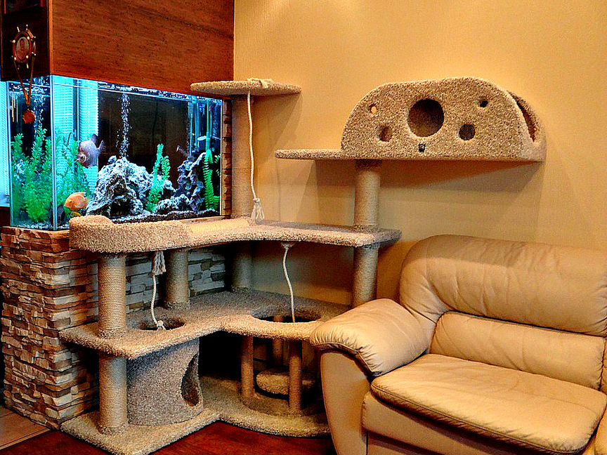 Игровой комплекс для кошек N 1