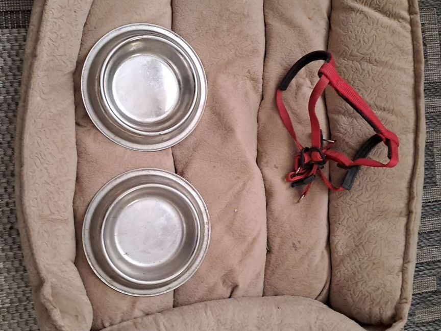 Лежак, посуда, шлейка