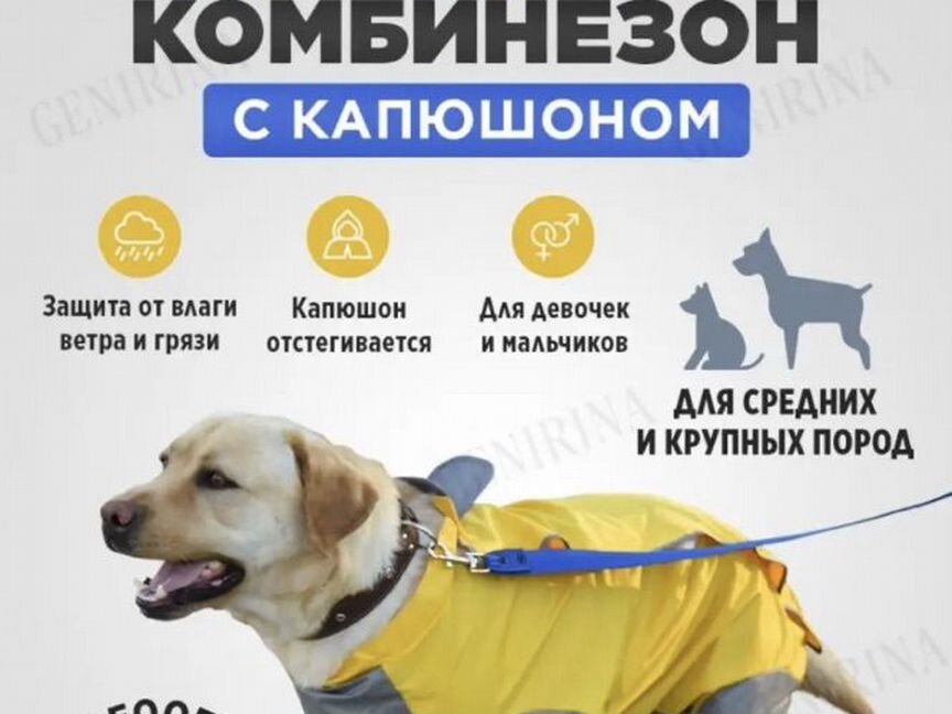 Дождевик для средней собаки