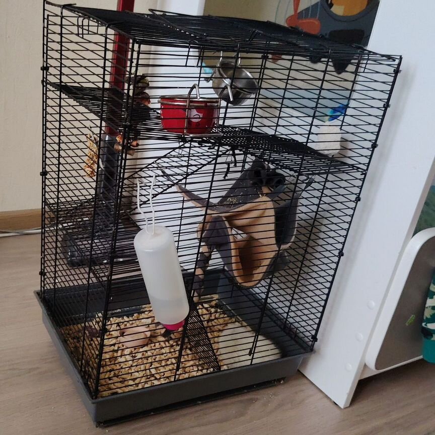 Клетка для крысы