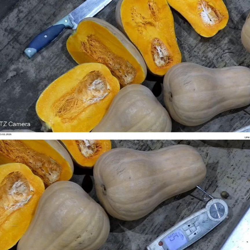 Тыква новый урожай