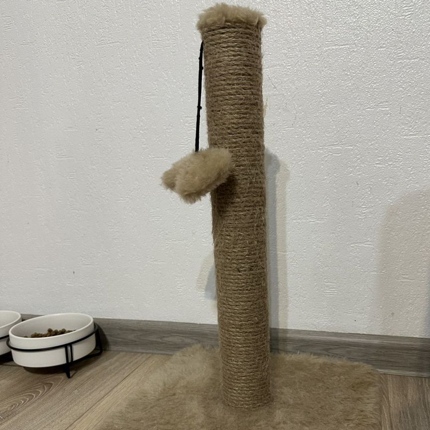 Когтеточка