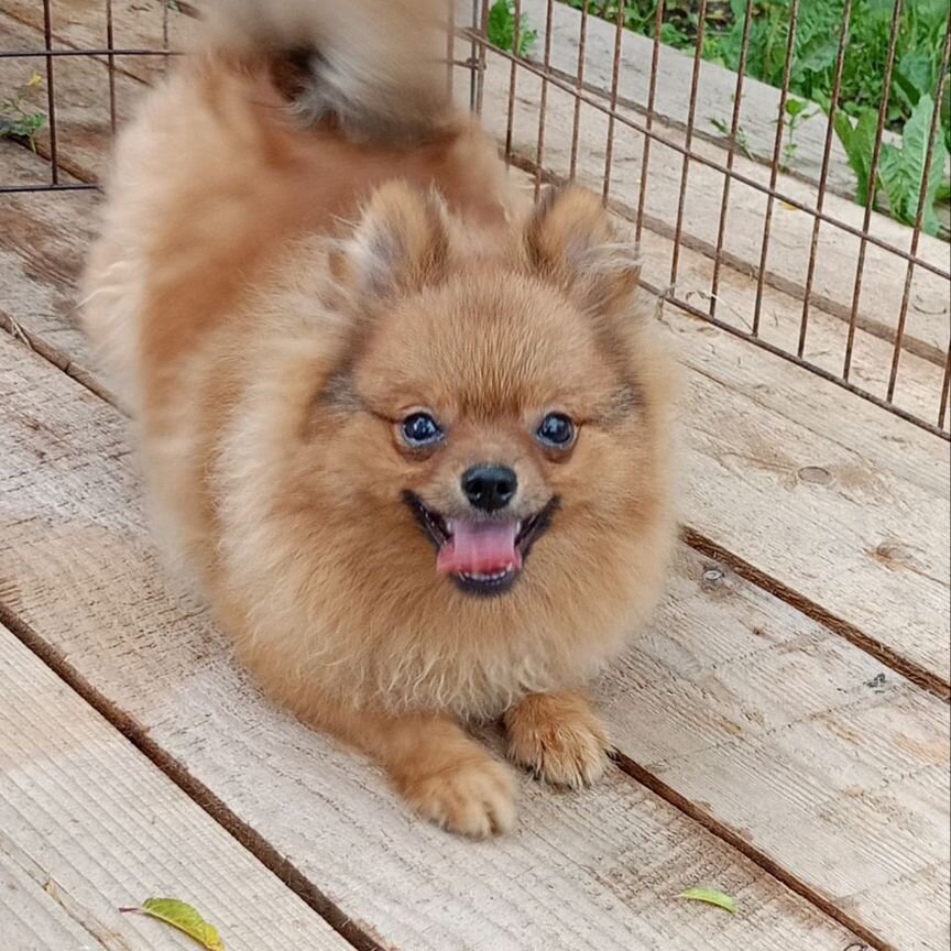 Мальчик красавчик