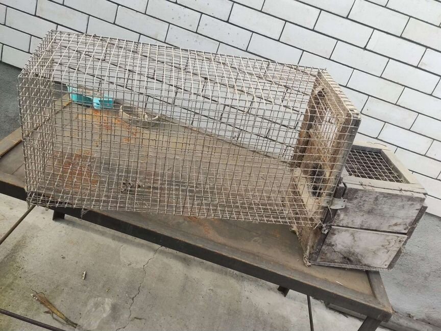 Клетка для грызунов