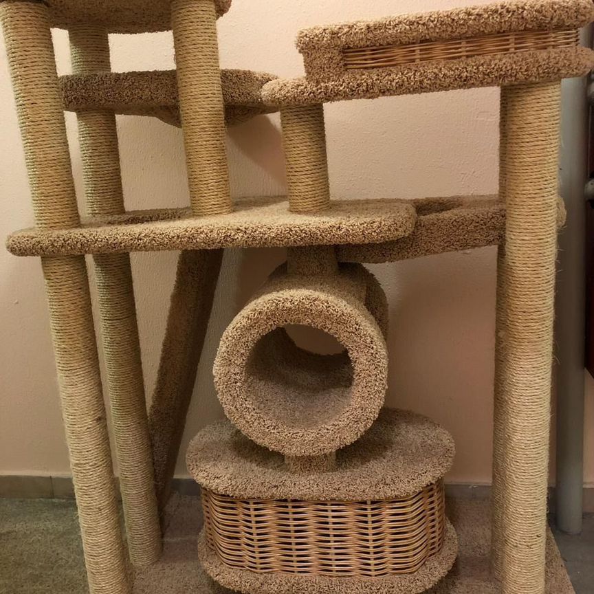 Кошкин рай