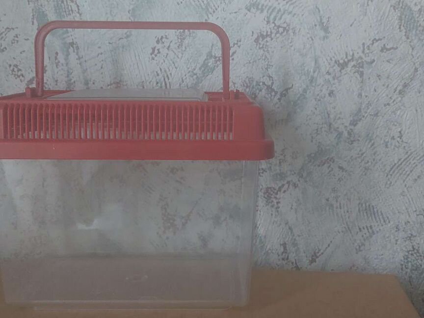 Контейнер-переноска для мелких животных