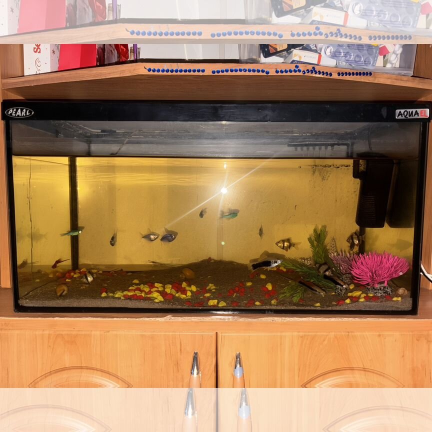 Аквариум aquael 55л