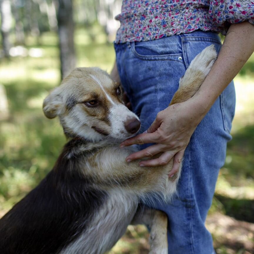 Дафна очень нуждается в человеке
