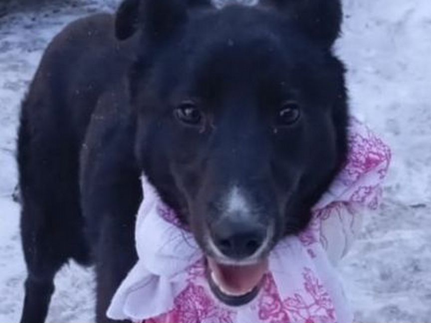 Стерильная Герда лучший друг