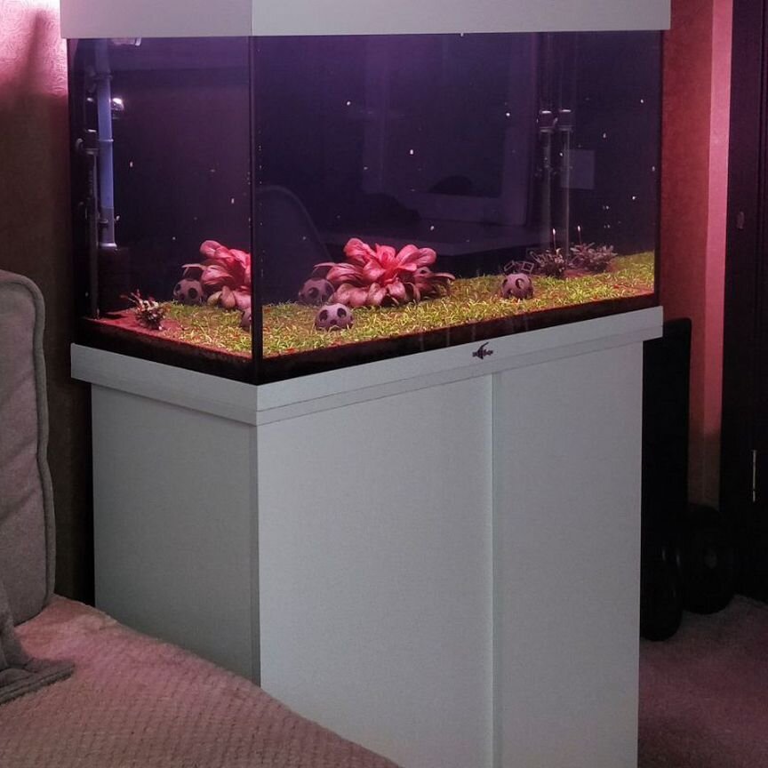 Шикарный аквариум полный комплект