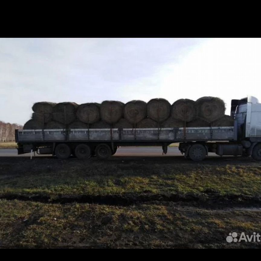 Продам сено в рулонах