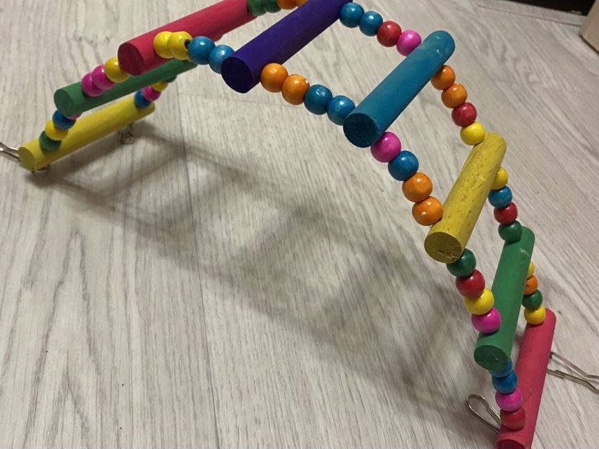 Лесенка для попугаев и грызунов