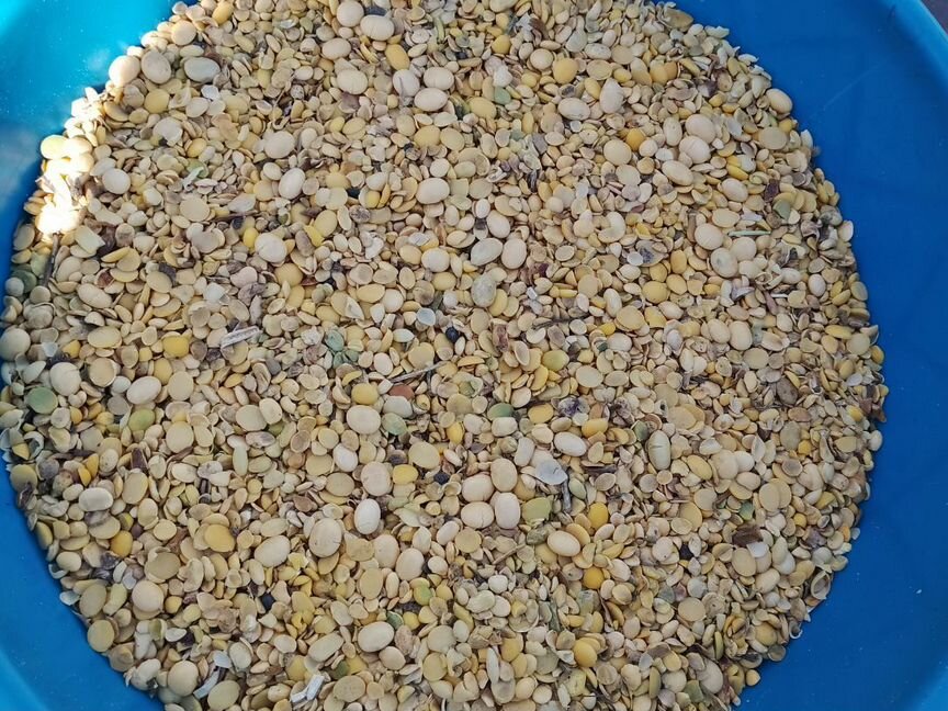 Соя колотая