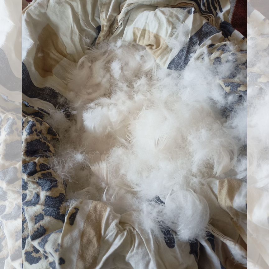 Пух перо гусиное