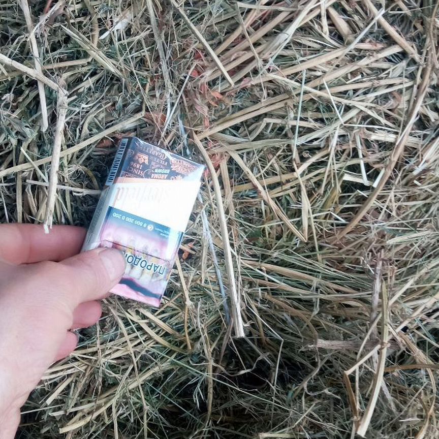 Сено эспарцет, люцерна