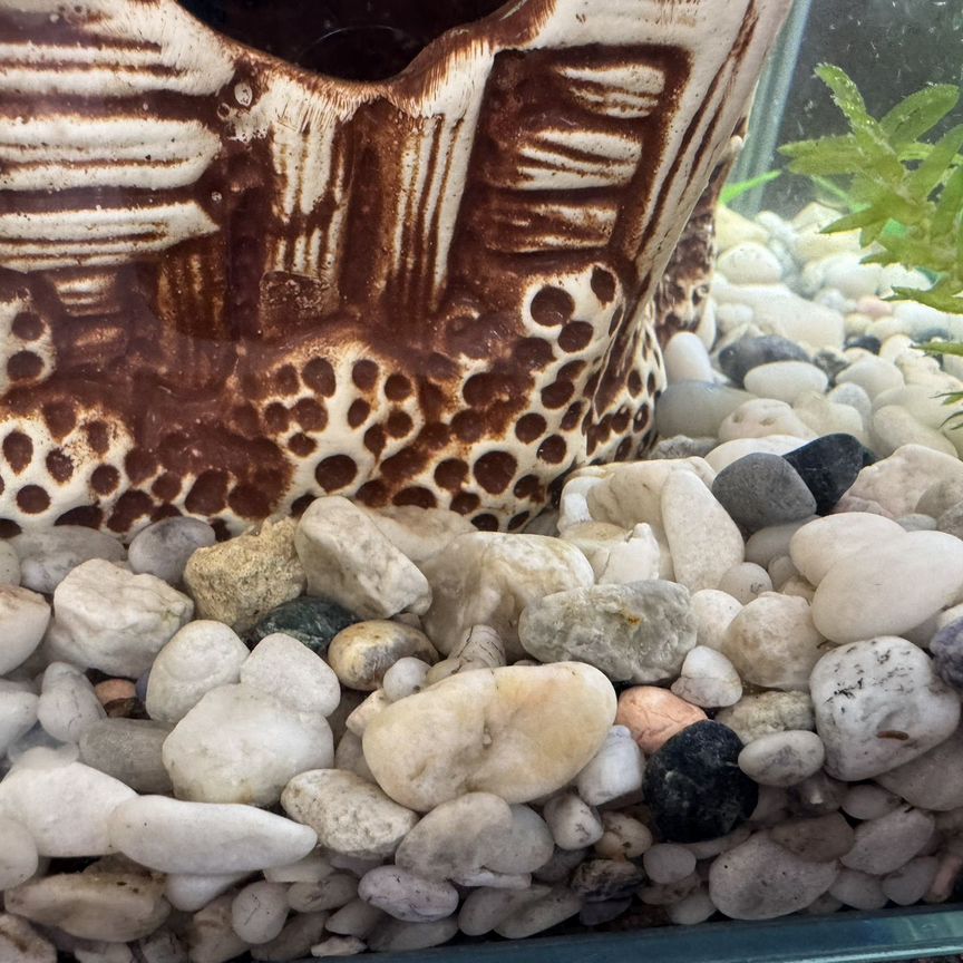 Грунт для аквариума