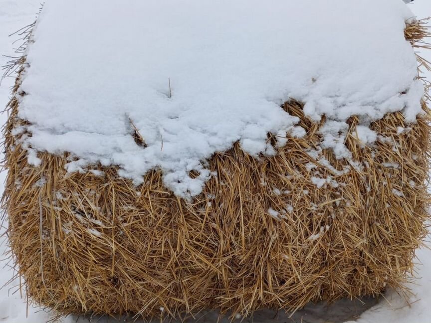 Солома в рулонах