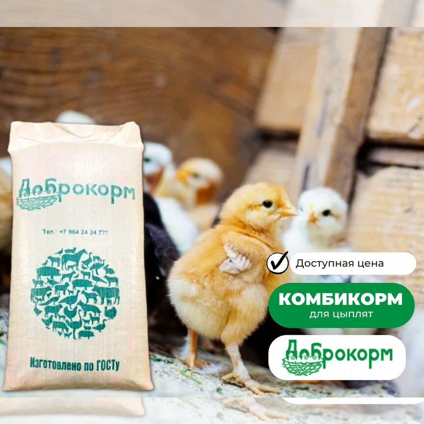 Комбикорм для цыплят