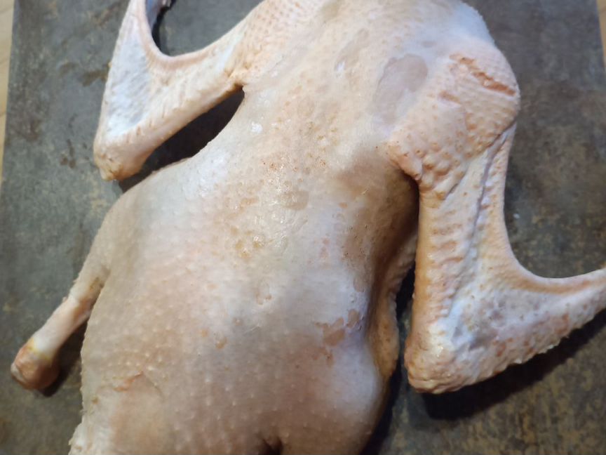 Гуси, мускусные утки