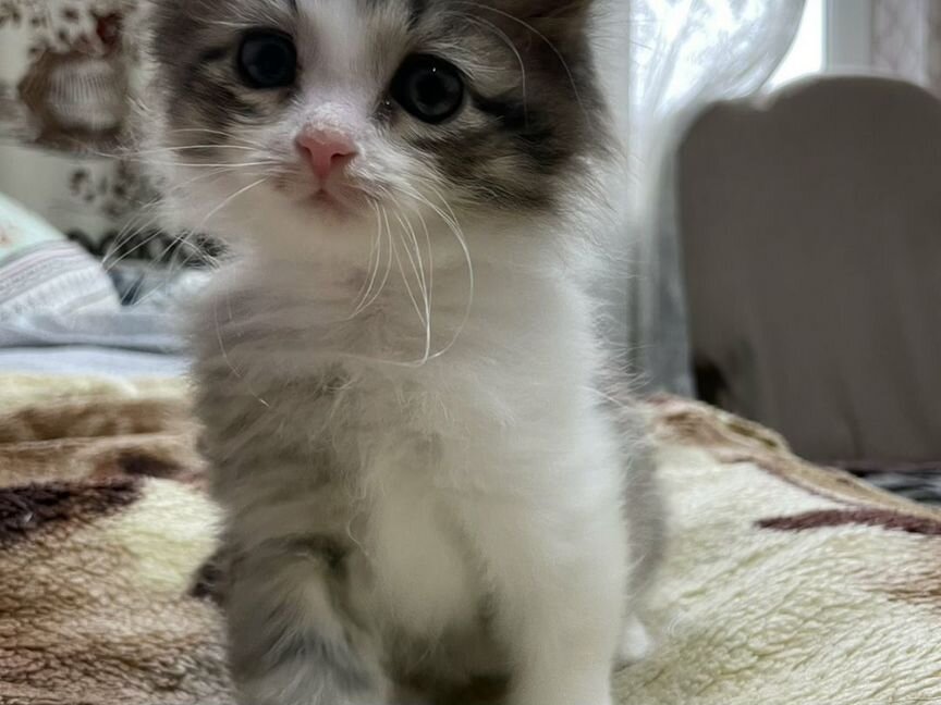 Малыш 2 месяца