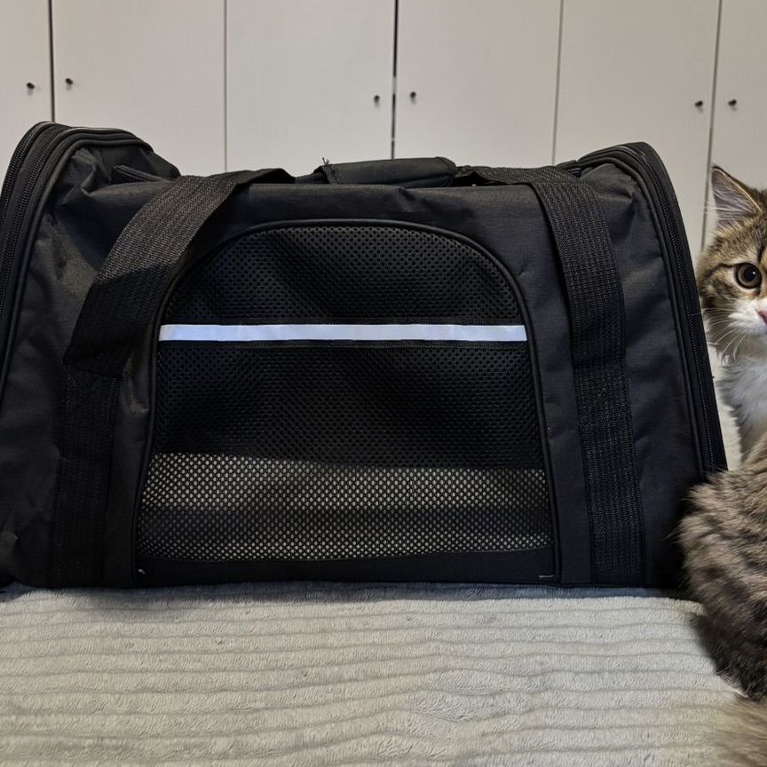 Сумка переноска для животных