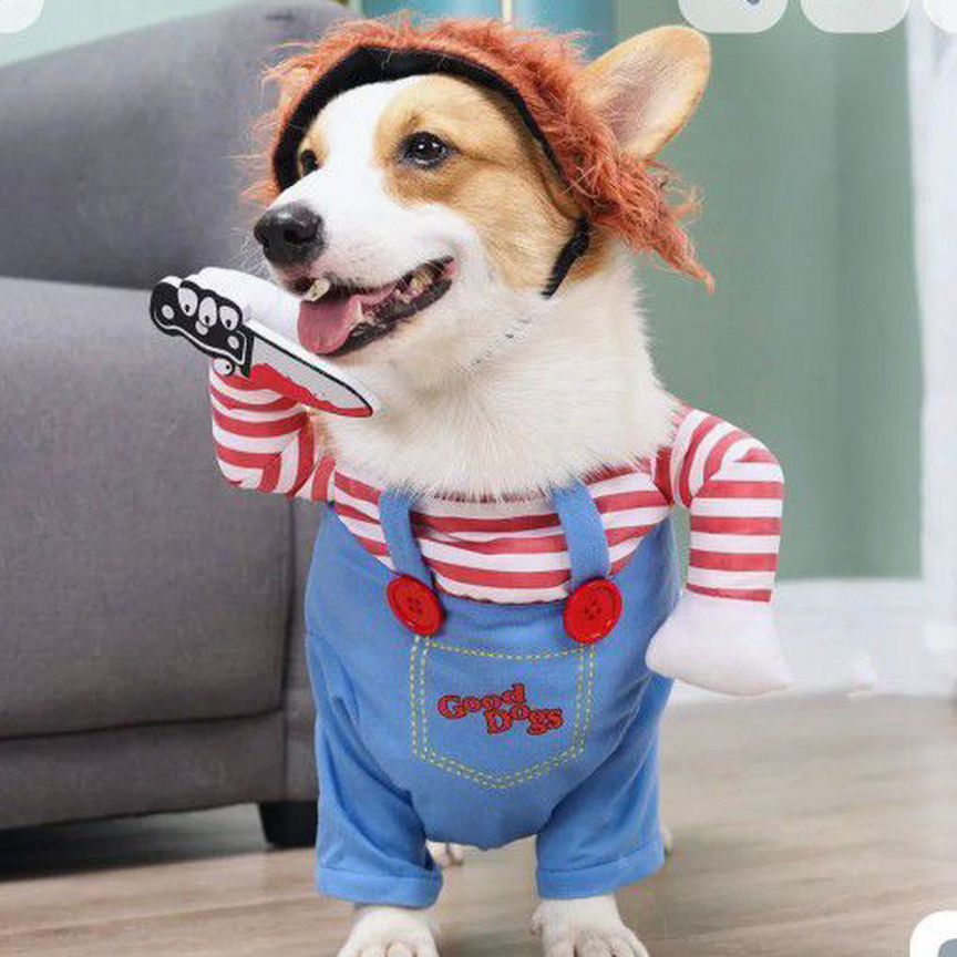 Костюм пирата для собаки или кота