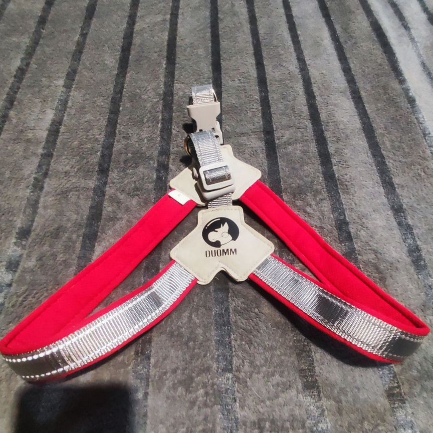 Шлейка анатомическая для собак