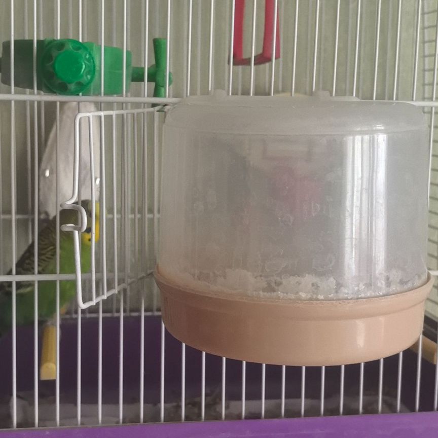 Волнистый попугай с клеткой