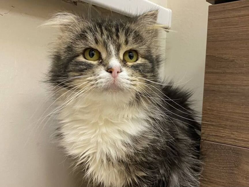 Никто не замечает